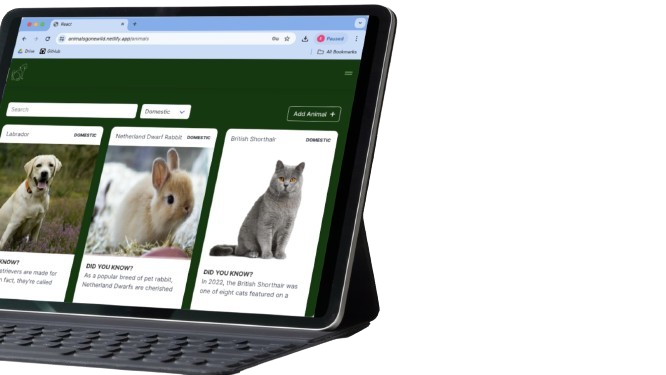 Elizabeth Talbot | My Portfolio